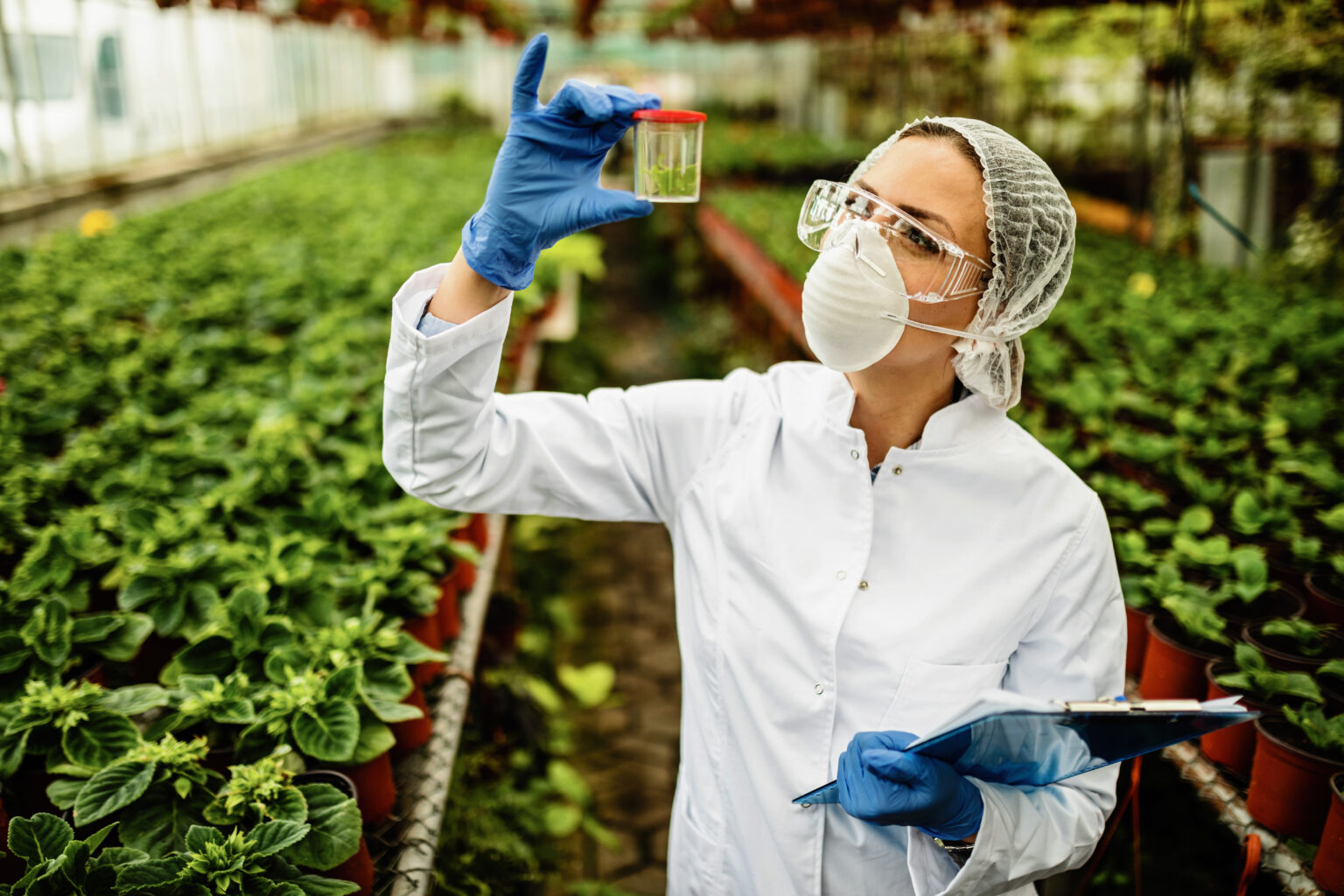 Guía bioestimulantes agrícolas y biocontrol - MAFA